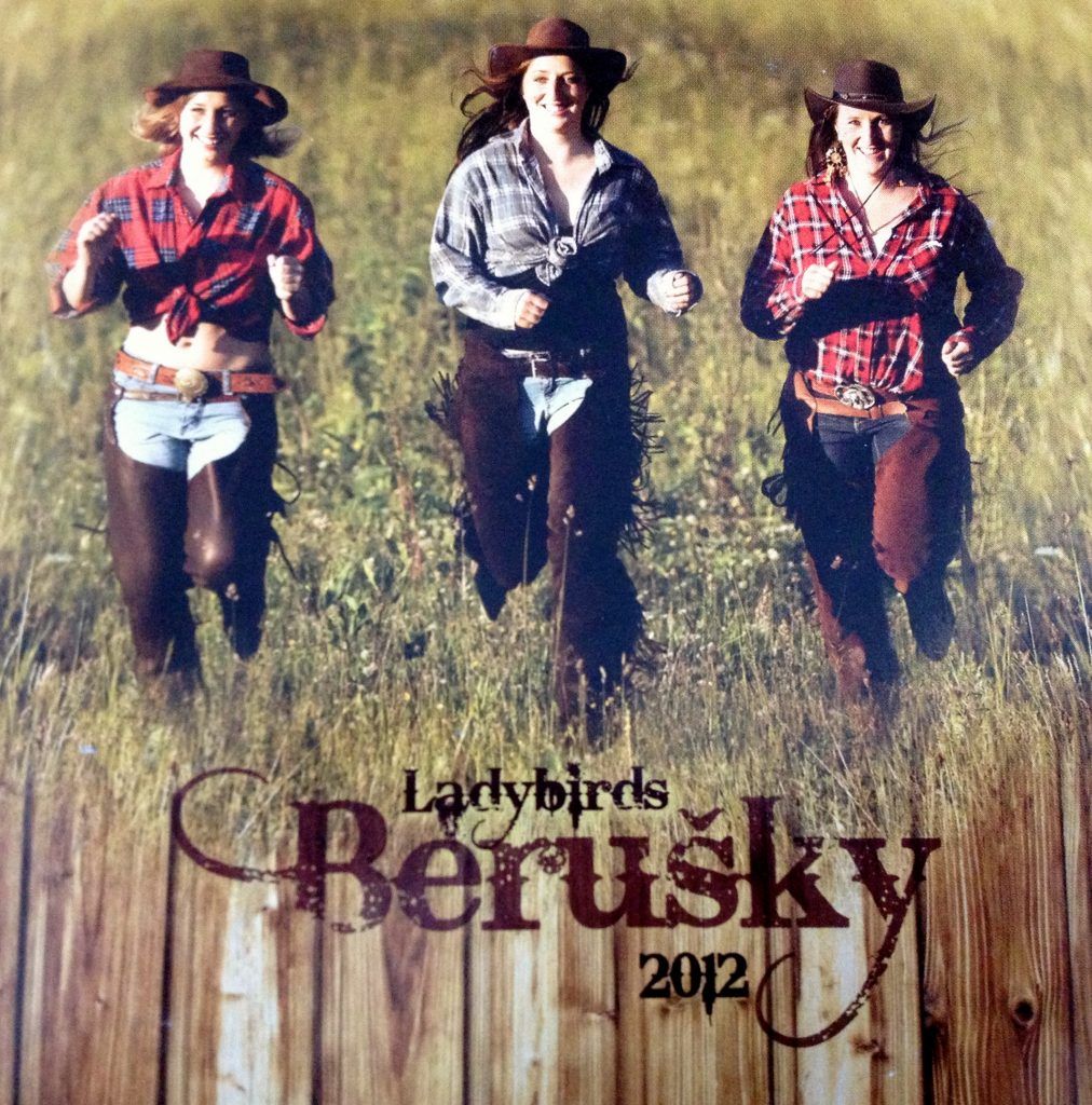 Promo CD II - Ladybirds 2012 - LADYBIRDS